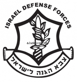 IDF Emblem T-Shirt | aJudaica.com